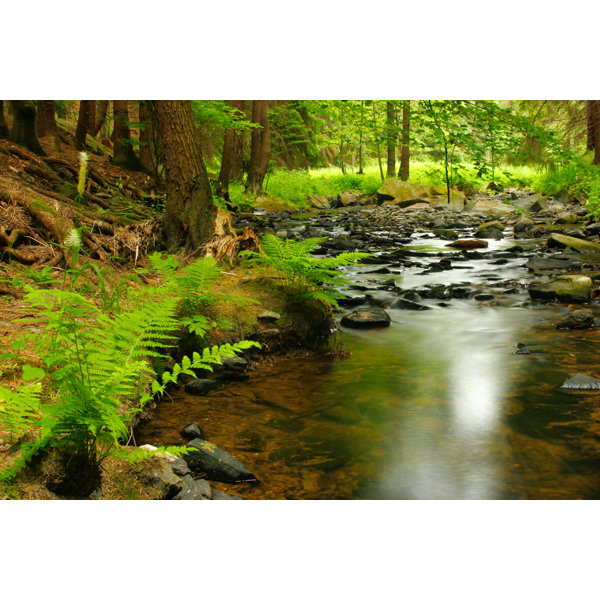 Alpen Home Forest Stream von AVTG - Kunstdrucke auf Leinwand | Wayfair.de